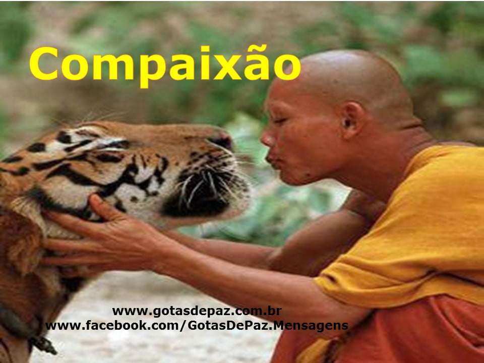 Compaixão - Gotas de PazGotas de Paz