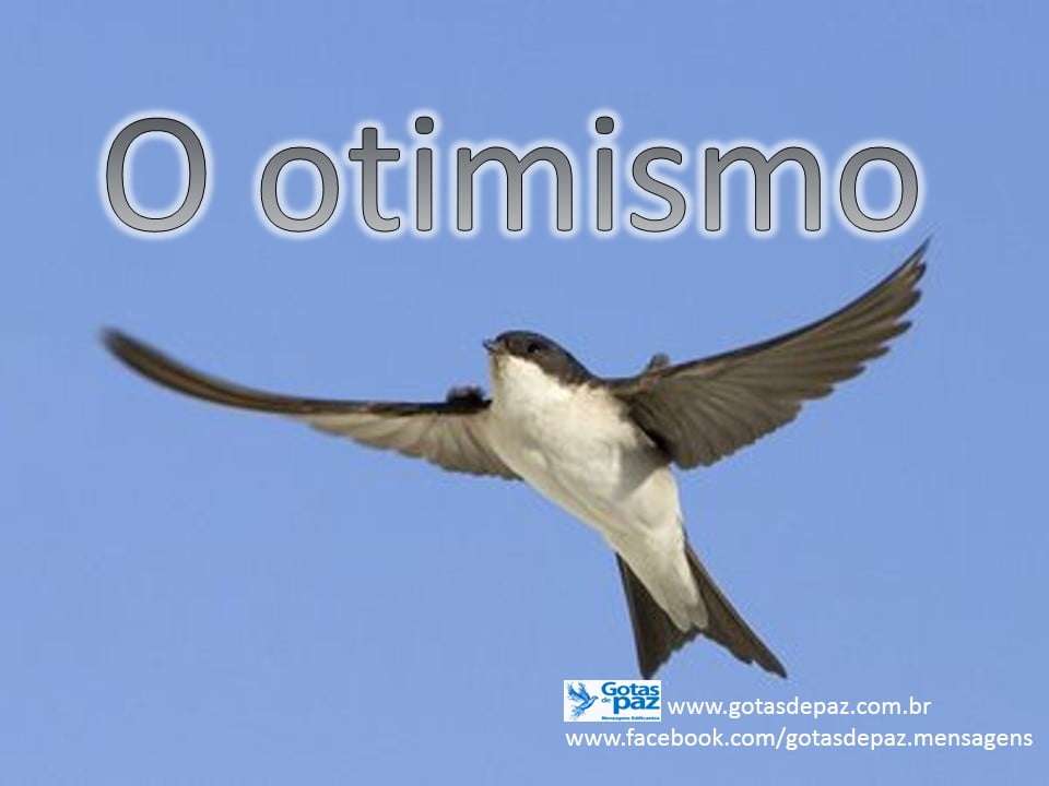 O otimismo - Gotas de PazGotas de Paz