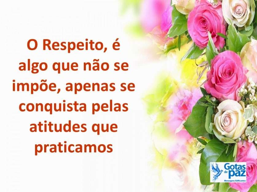 O Respeito, é algo que não se impõe, apenas se conquista pelas atitudes ...