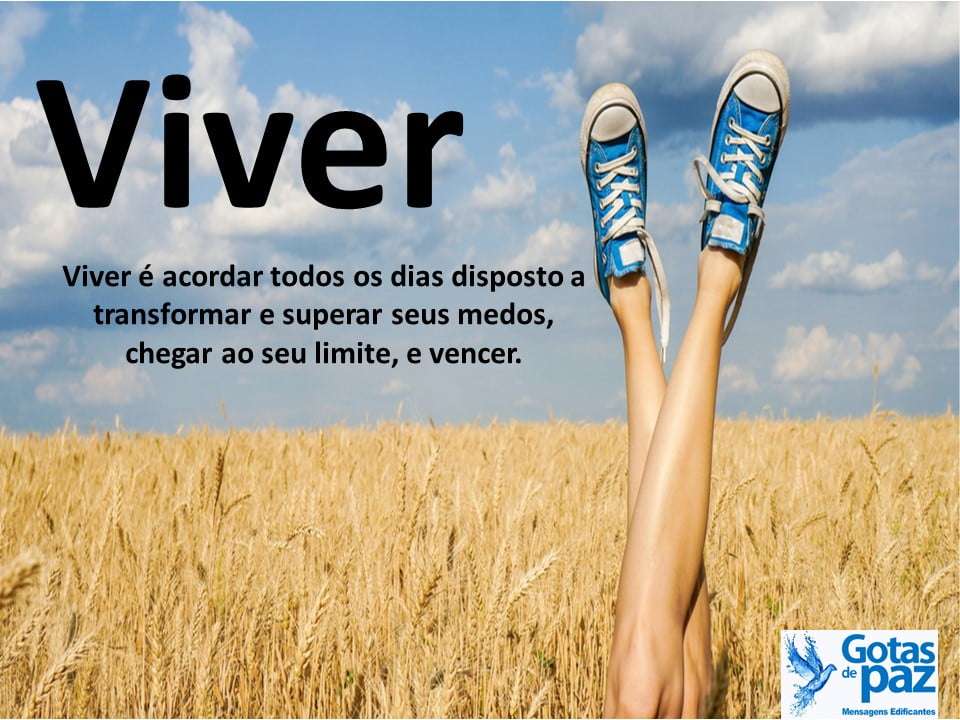 Viver - Gotas de PazGotas de Paz