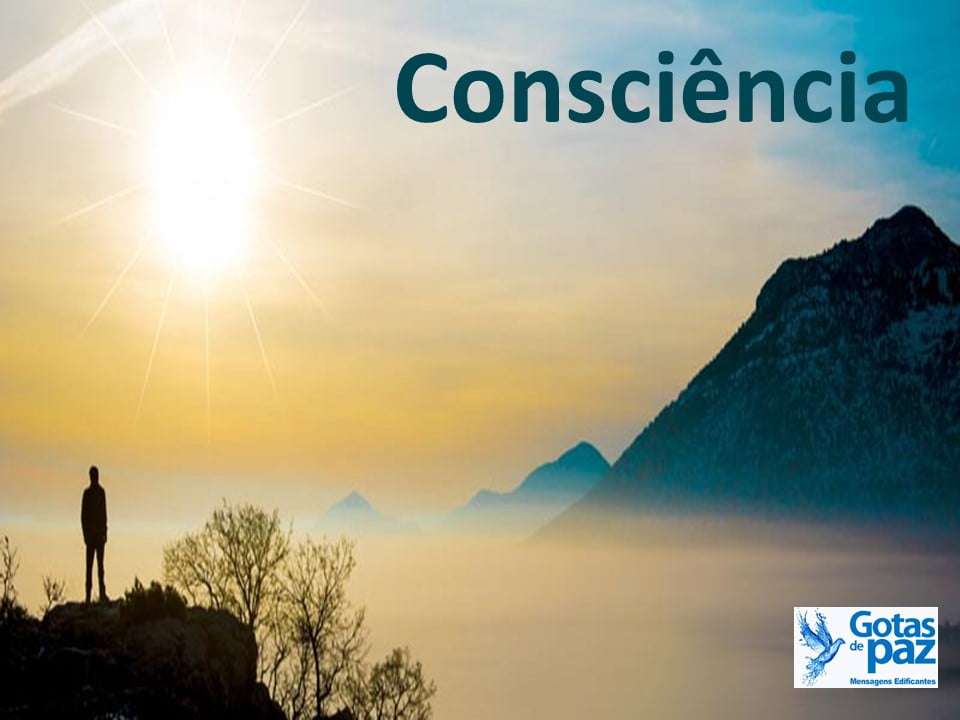 Consciência - Gotas de PazGotas de Paz
