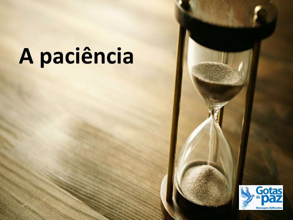 A paciência - Gotas de PazGotas de Paz