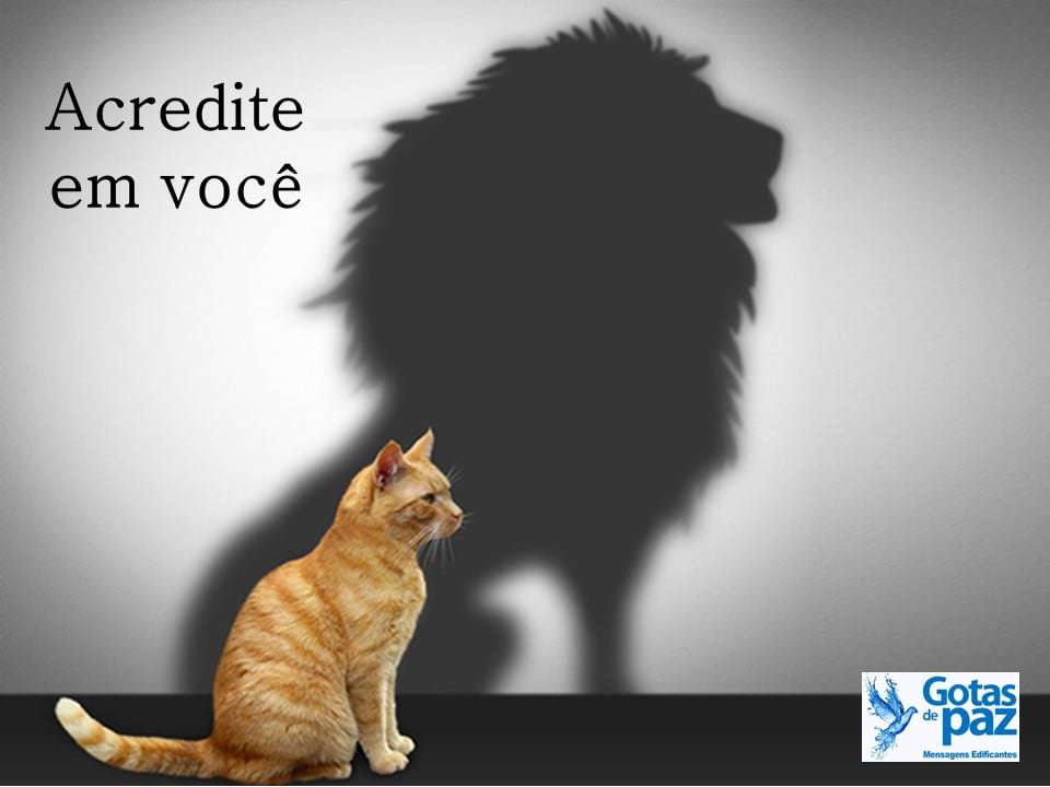 Acredite em você - Gotas de PazGotas de Paz