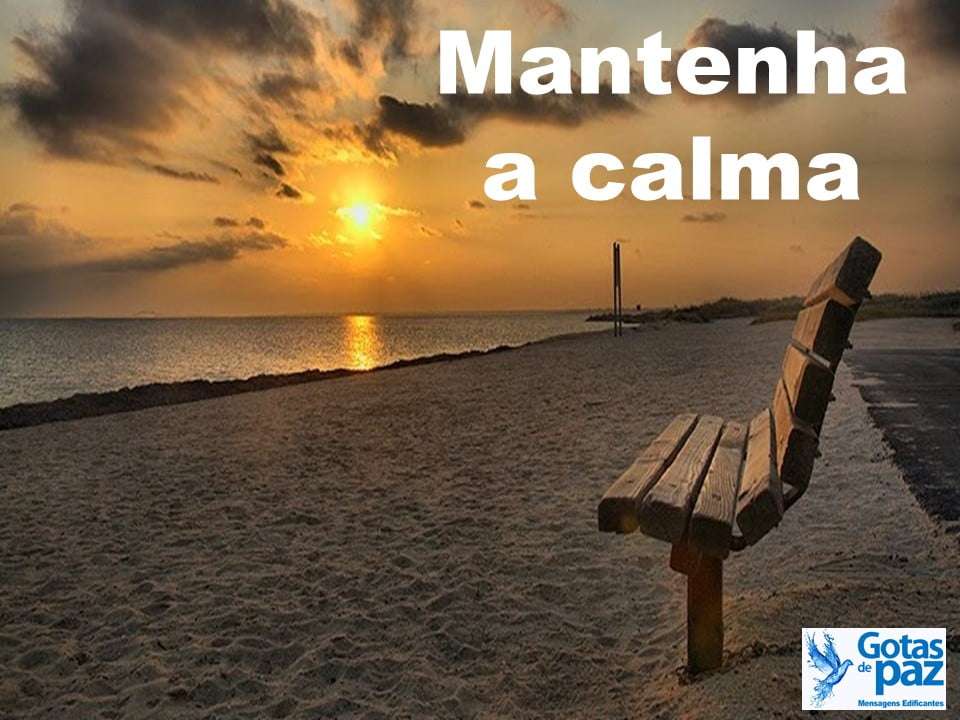 Mantenha A Calma E O Jacare Morda