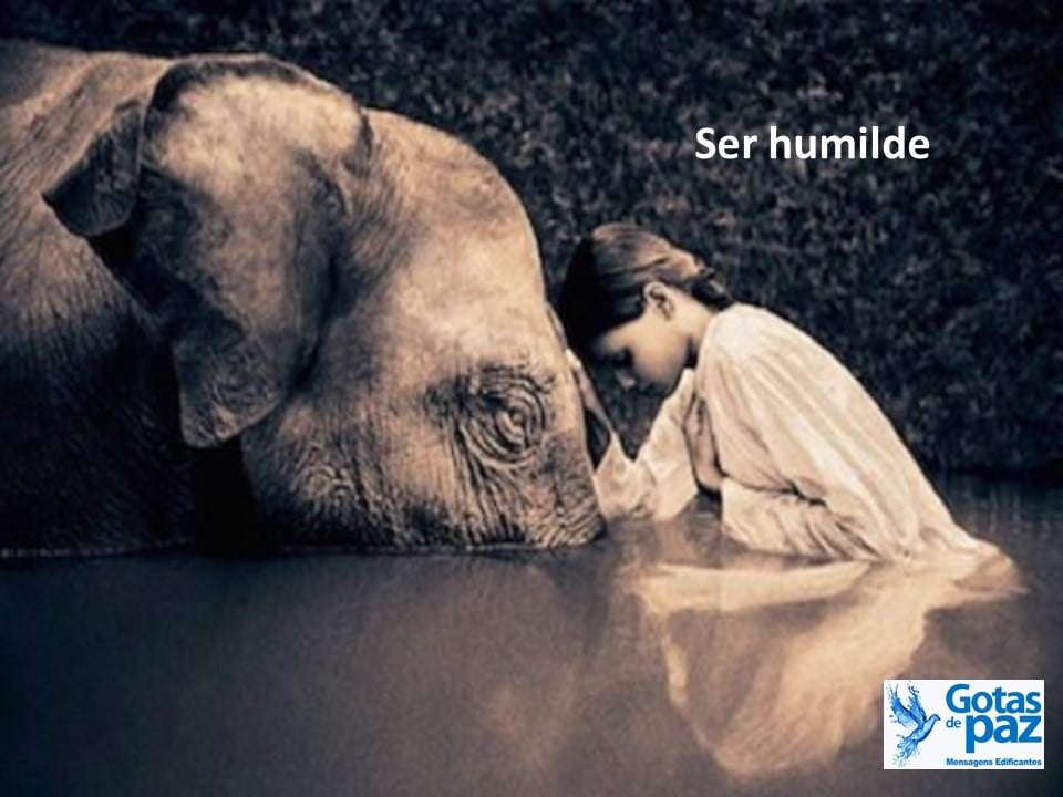 Ser humilde - Gotas de PazGotas de Paz