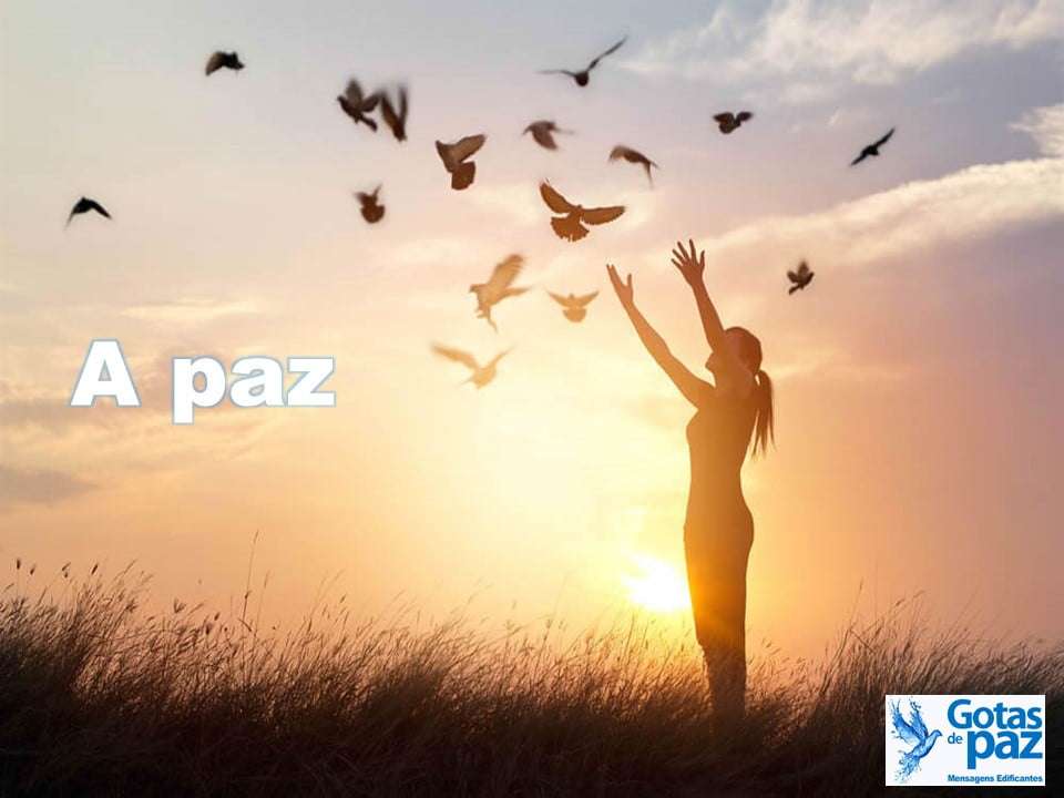 A paz - Gotas de PazGotas de Paz