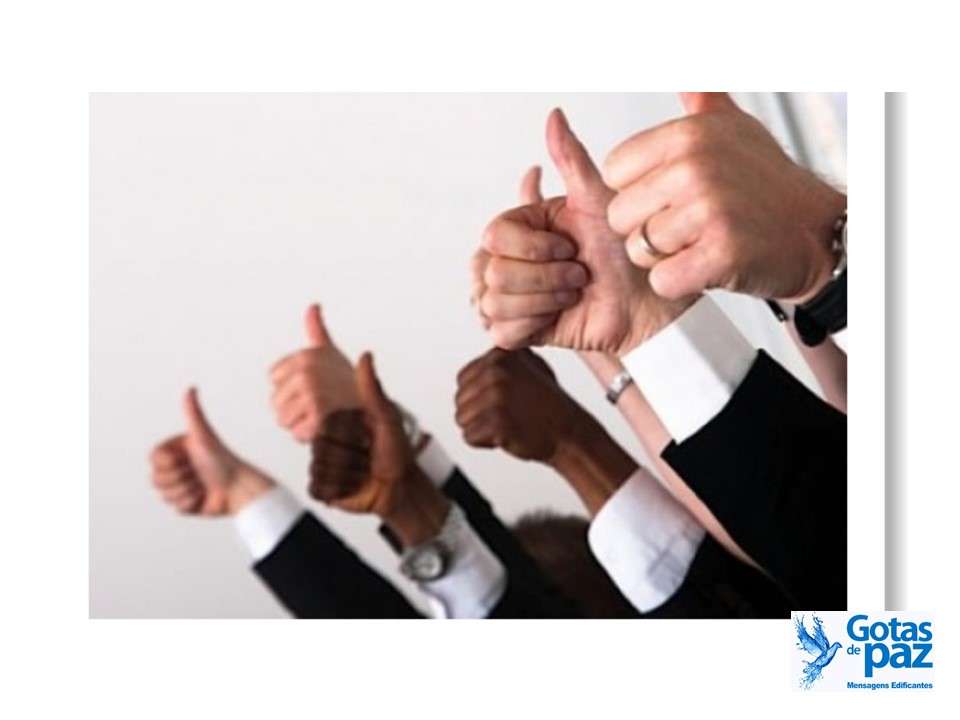 Elogio - Gotas de PazGotas de Paz